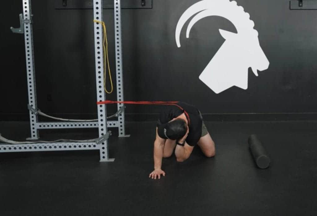 Performance-Enhancing Shoulder Exercises For Bowhunters | Hook & Barrel ...